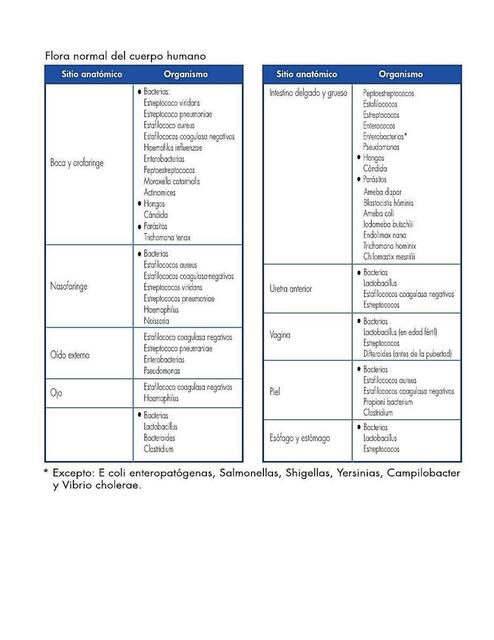 Flora Normal del Cuerpo Humano | ayudadita | uDocz