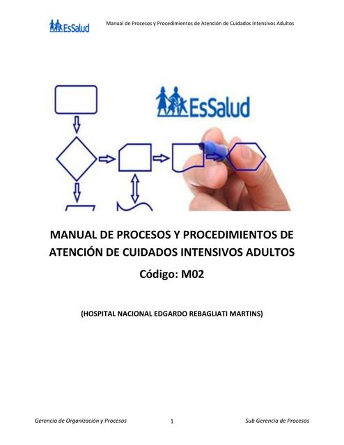 Manual de procesos y procedimientos de atención de cuidados intensivos ...