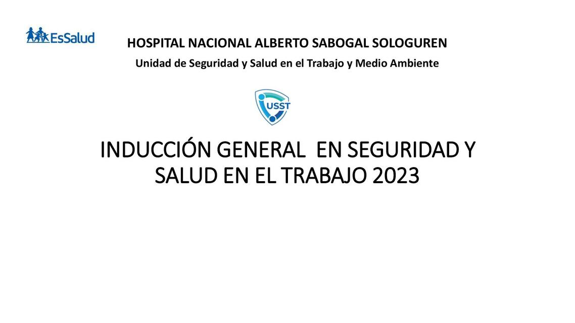 Inducción General en Seguridad y Salud en el Trabajo 2023 | Fabiola ...