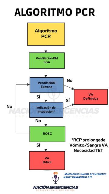 algoritmo pcr | Ignacio | uDocz
