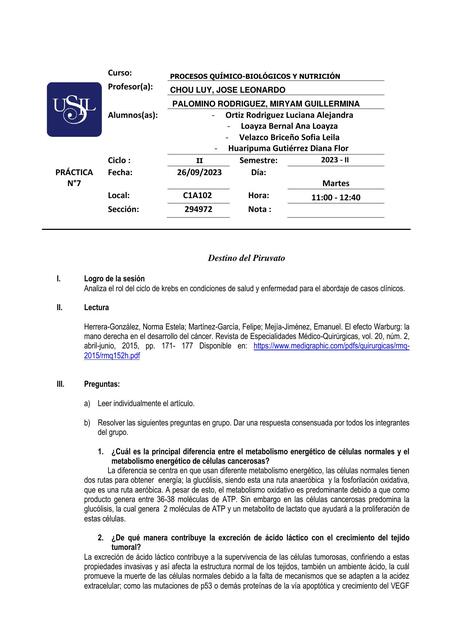 Práctica S7 | MedLu | uDocz