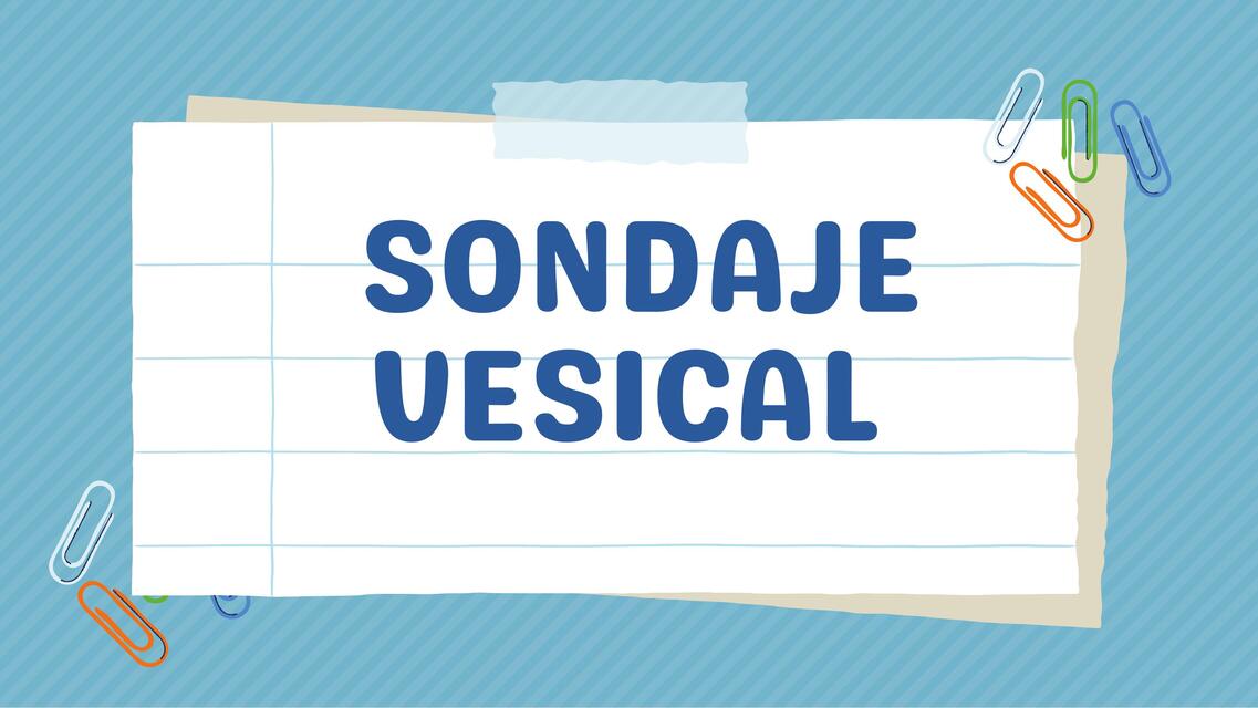 Sondaje vesical | Departamento de Enseñanza e Investigación | uDocz
