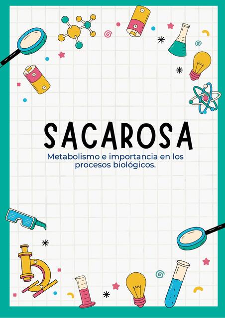 Sacarosa | Mar | uDocz