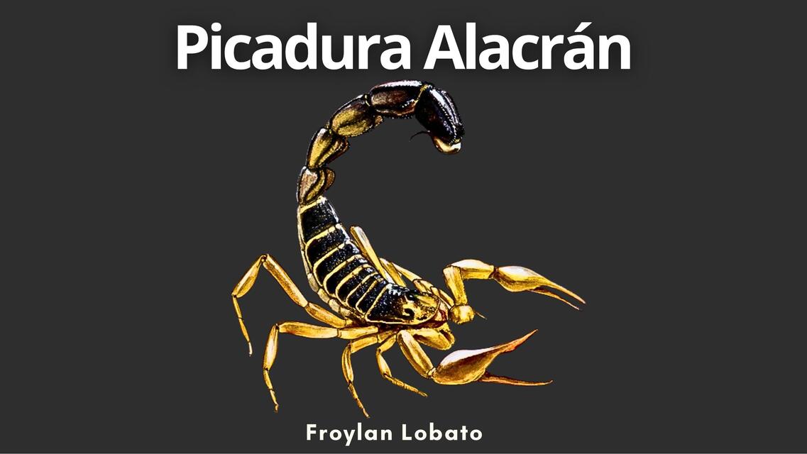 Picadura de alacrán🦂 (Alacranismo) |🩺Diagnóstico y Tratamiento ...