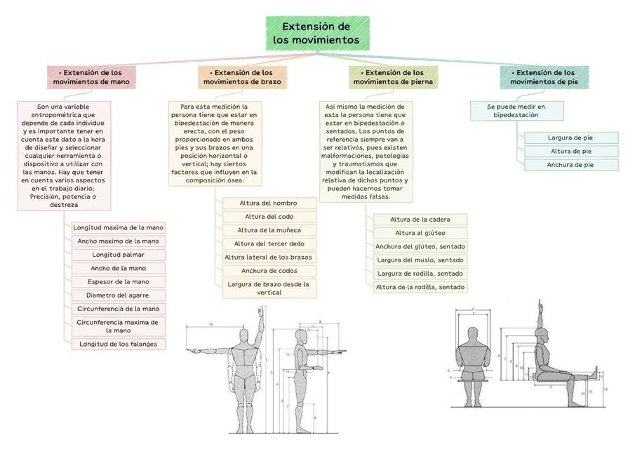 Extensión del movimiento | DOMENICA MICHELLE RONQUILLO RAMIREZ | uDocz