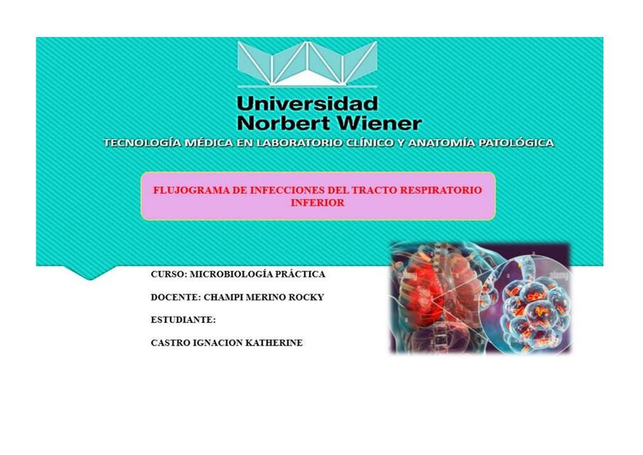 Infecciones del tracto respiratorio inferior | katherine Castro ...
