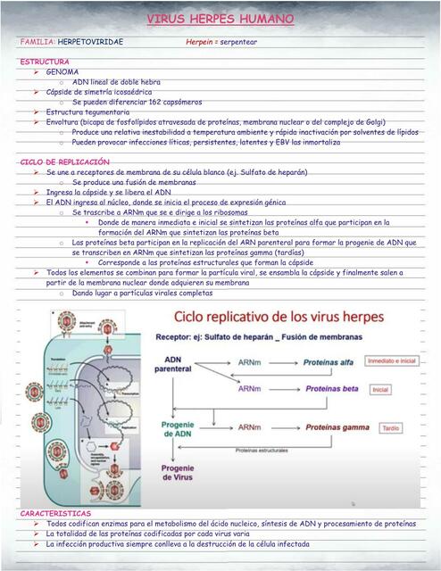 Herpesvirus | Alain Alvarez | uDocz