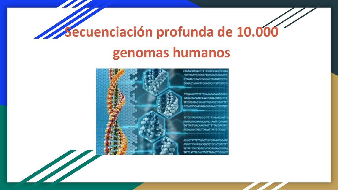 GENOMA | Samuel Amado Vilchez Barzola | uDocz