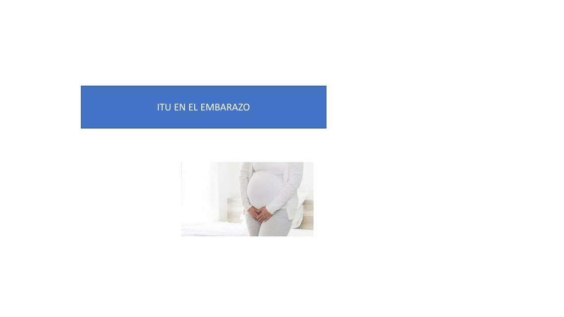 ITU EJEMPLO UDOCZ | Gianela Valentin quispe | uDocz
