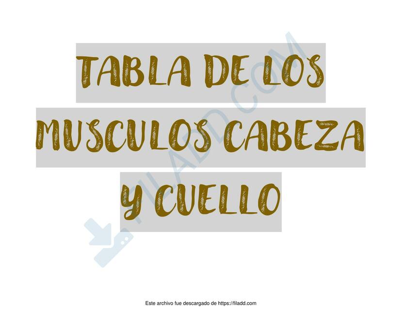Tabla de los Músculos Cabeza y Cuello | arely Hernandez quechulpa | uDocz