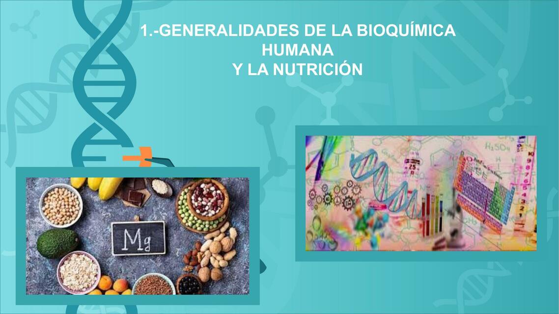 Generalidades de la Bioquímica Humana y la Nutrición | Perla Cortez | uDocz