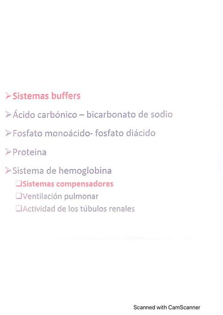 Sistemas Buffers | RICHARD PAREDES MARUANI | uDocz