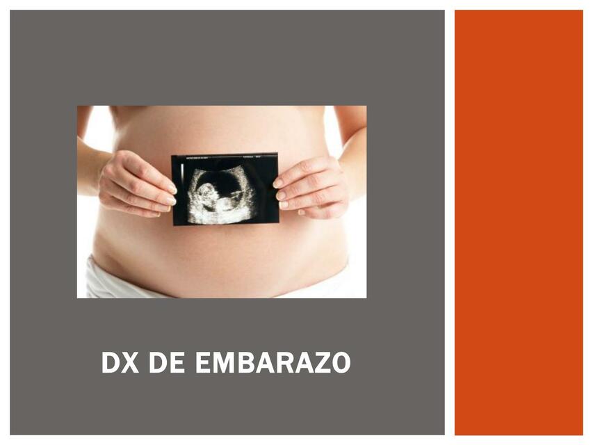 DX de Embarazo | Hortencia Hernández | uDocz