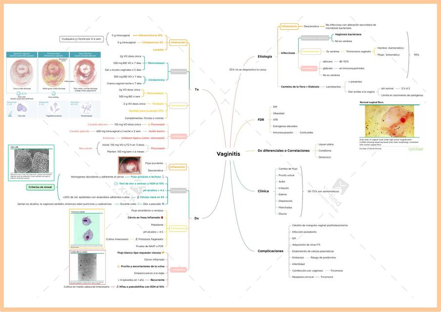 Vaginitis y vaginosis | fataliza 🩺🌺 | uDocz