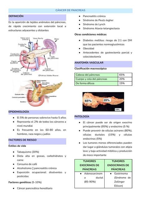 Cáncer de páncreas | Estudiamedi Medicina | uDocz