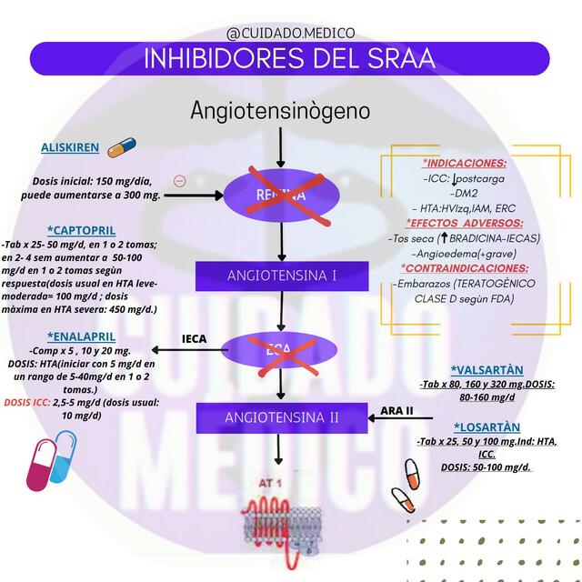 Inhibidores del SRAA | @CUIDADO.MEDICO | uDocz