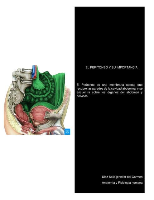 Peritoneo | Jennifer Diaz | uDocz