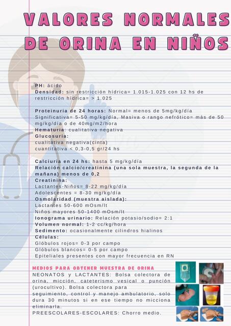 Valores normales de orina en niños | Erica AF | uDocz