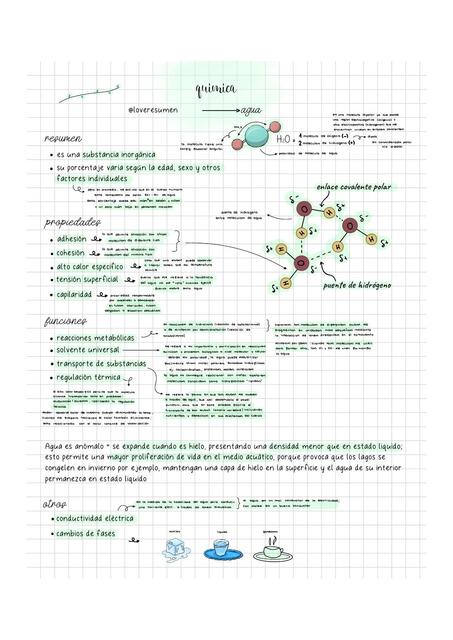 Agua | Beatriz | uDocz