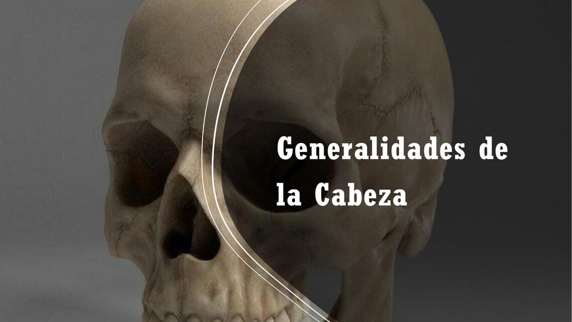 Generalidades de la cabeza | Reztify romero | uDocz