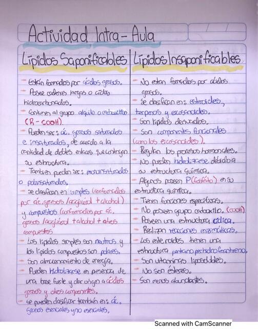 Lípidos Saponificables E Insaponificable Adriana Hernández Udocz