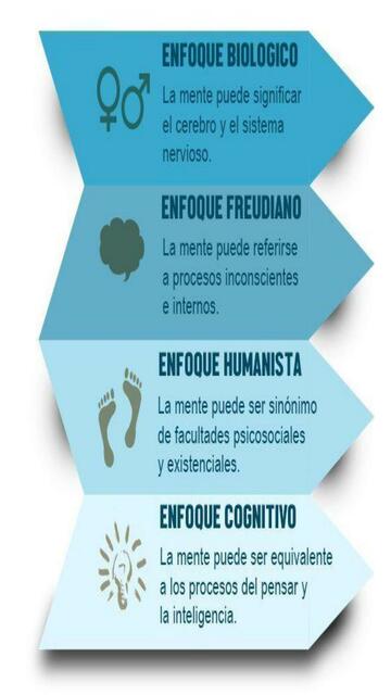 Enfoques de psicología | Psicología y mente | uDocz