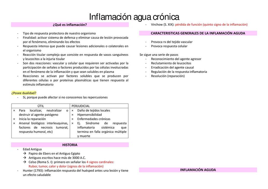 PATOLOGIA | Heidi Solano | uDocz