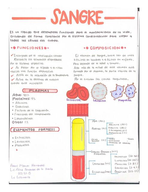 Composición de la sangre | Araceli | uDocz