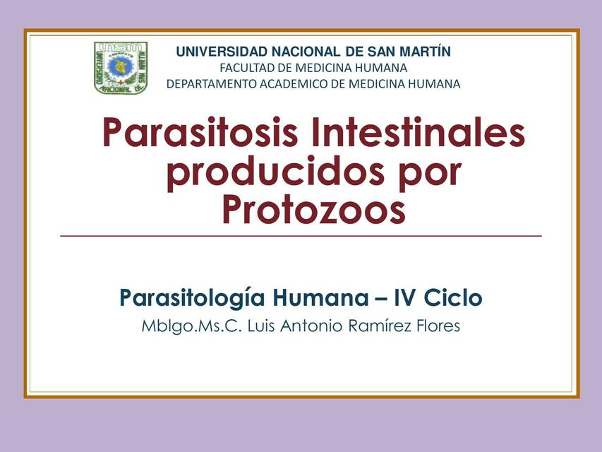Parasitosis Intestinales Producidos por Protozoos | Mery Kiara Panduro ...