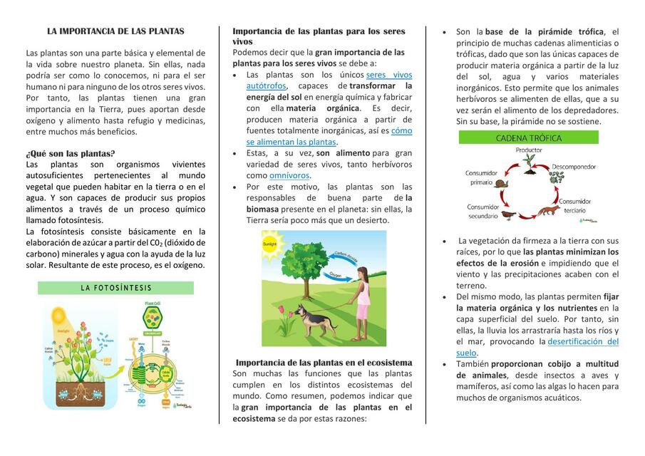 La Importancia de las Plantas | Eleonora Pajuelo | uDocz