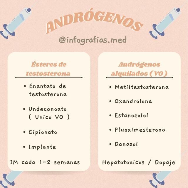 Andrógenos | uDocz