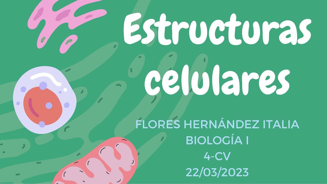 Estructuras celulares | Geraldinne | uDocz