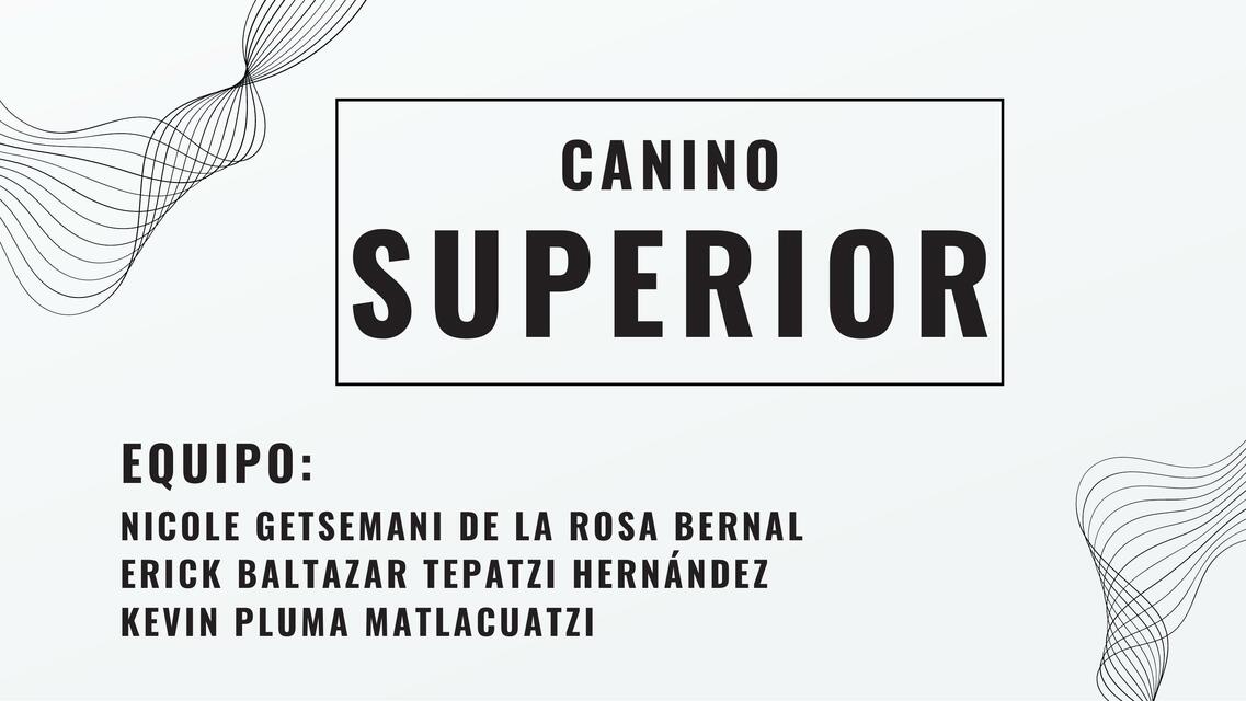 Canino Superior | Kevin Pluma Matlalcuatzi | uDocz