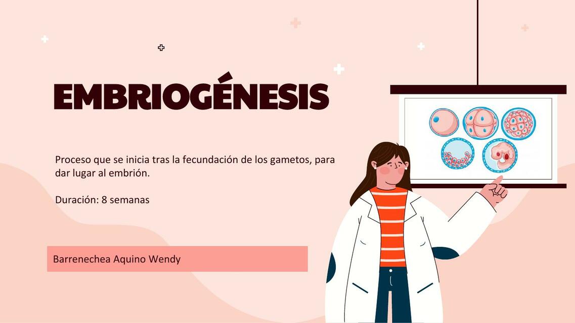 Embriogénesis | Wendy Barrenechea | uDocz