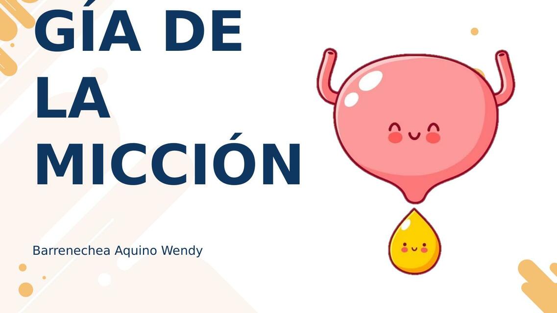 Fisiología de la micción | Wendy Barrenechea | uDocz