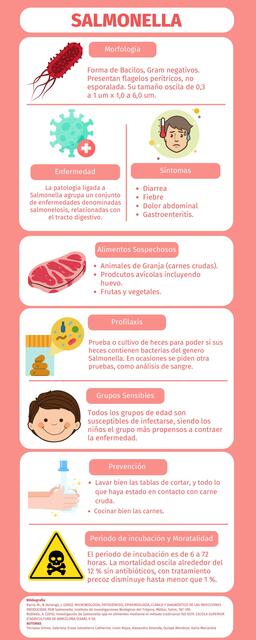 Salmonella Infografía | Sofia Lopez | uDocz