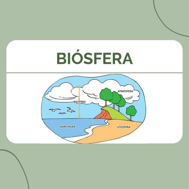 BIÓSFERA | Liza Stuudio | uDocz