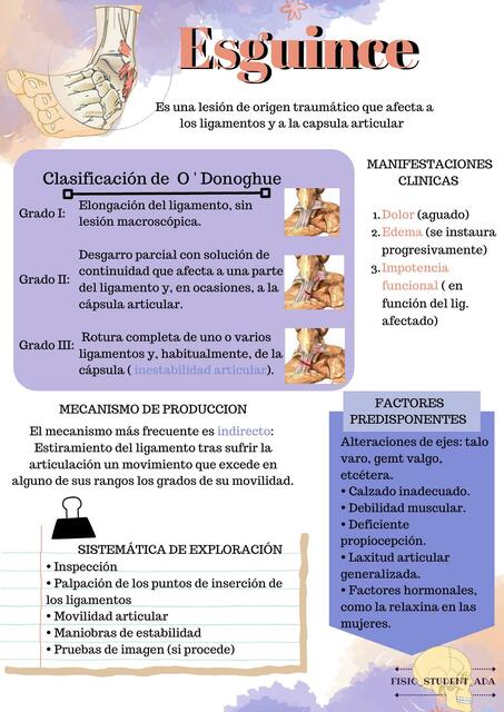 Esguince | Fisio.Ada | uDocz