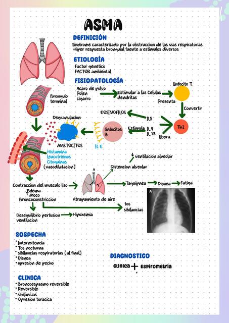 ASMA | Lapiz Medico | uDocz
