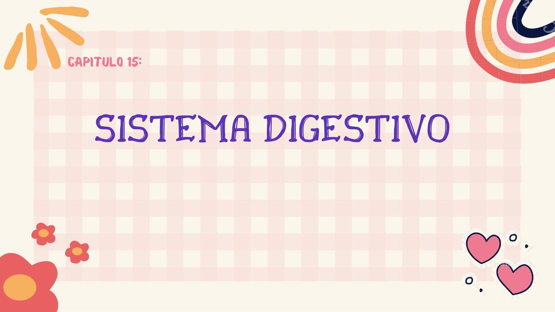 Sistema Digestivo | ELI Velarde | uDocz