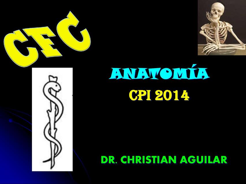 Anatomía | José Colmán | uDocz