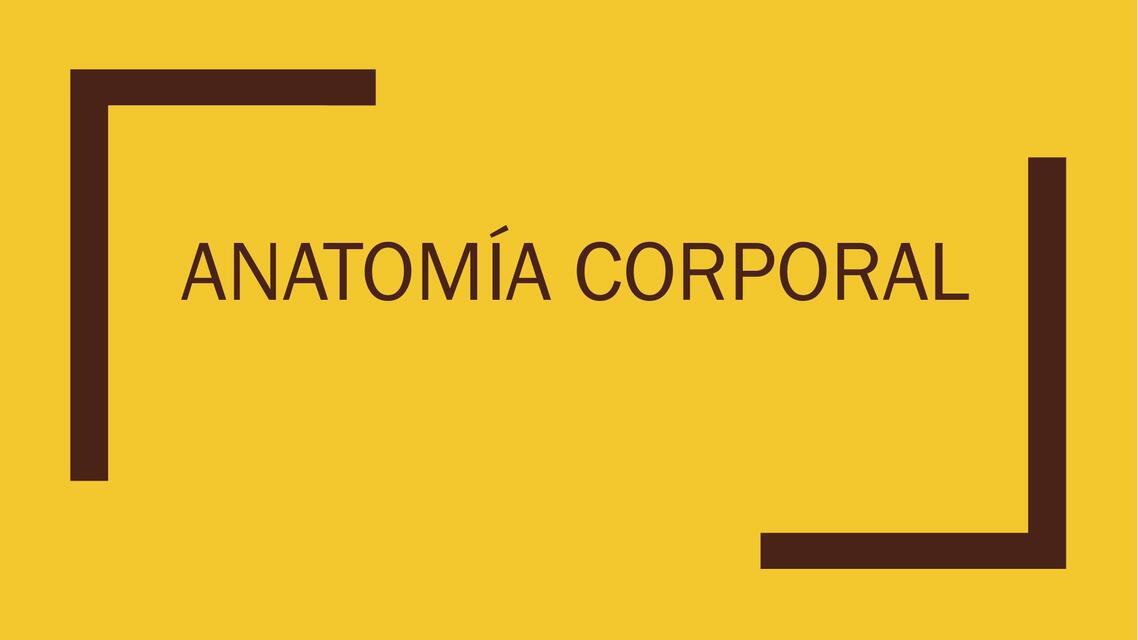 Anatomía corporal | Camila Aragón | uDocz