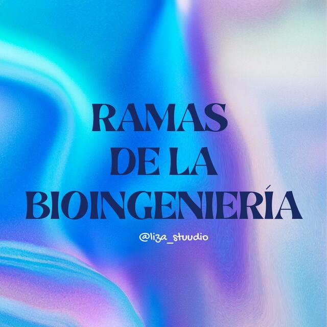 Ramas de la bioingeniería | Liza Stuudio | uDocz