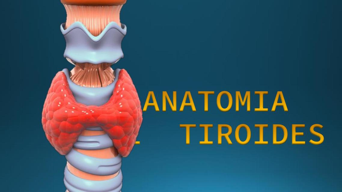 ANATOMÍA DE TIROIDES | DIAPOSITIVAS MEDICINA | uDocz