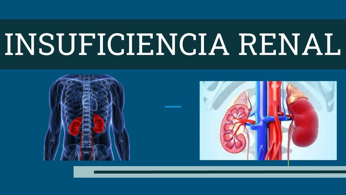 Insuficiencia Renal | Imbler Regalado | uDocz