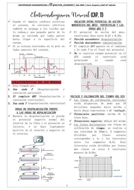 Electrocardiograma Normal | Kelton César | uDocz
