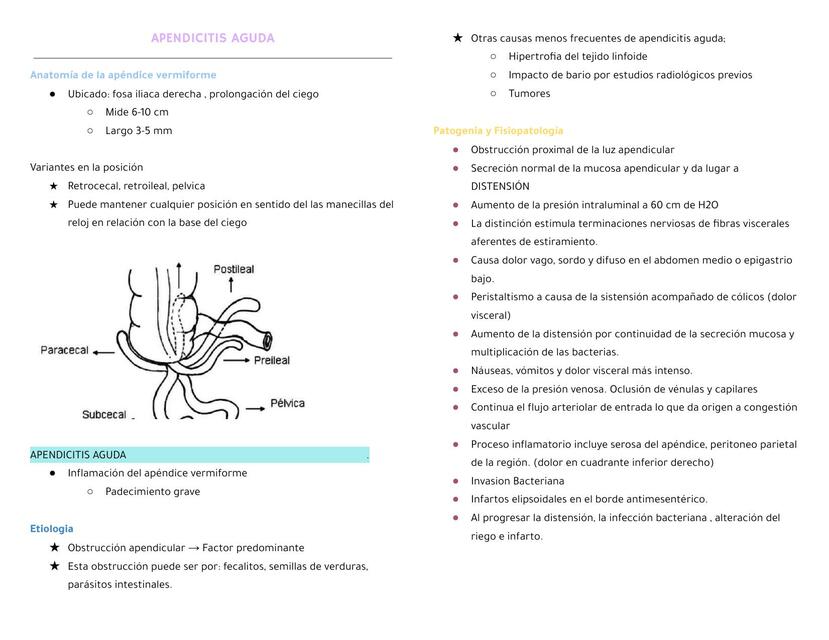 Abdomen Apendicitis | Ines Funes | uDocz