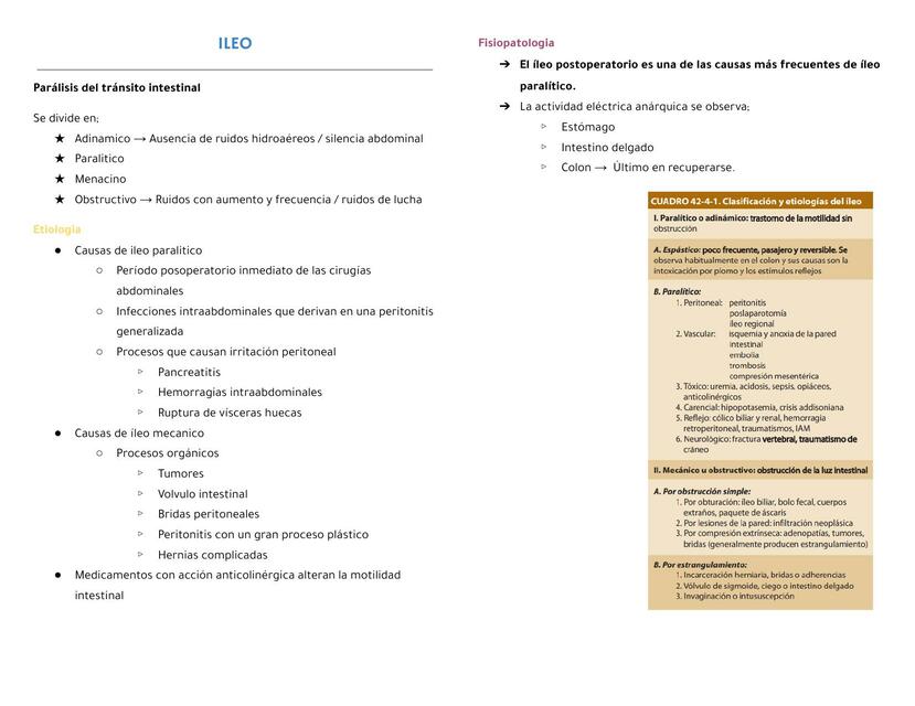 Abdomen Ileo | Ines Funes | uDocz