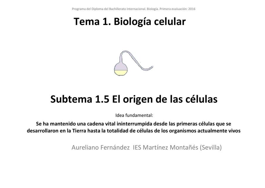 Flashcards de El Origen de las Células | Por A GOOD ESTUDENT | uDocz