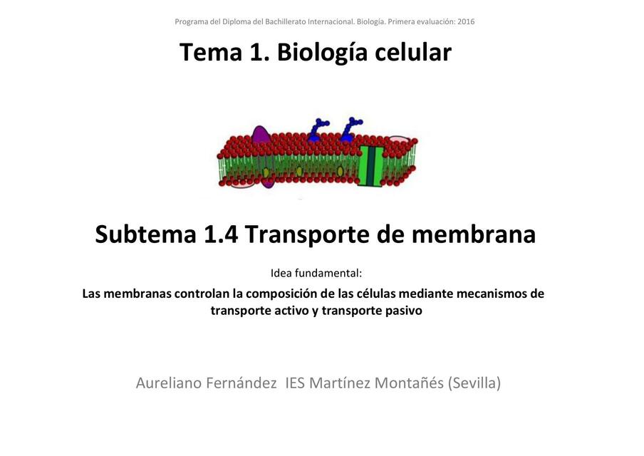 Flashcards de 1 04 Transporte de membrana | Por A GOOD ESTUDENT | uDocz